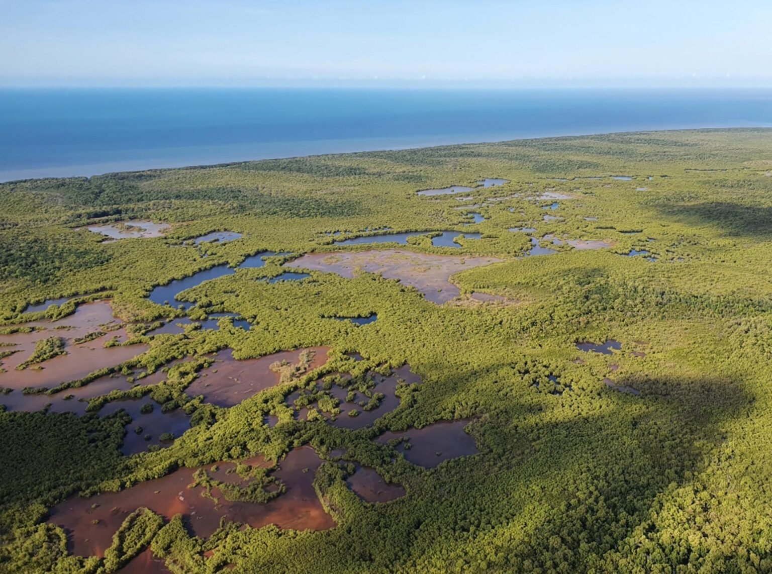 Annual Reports | TSRA