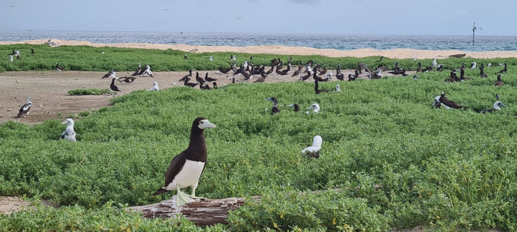 Environmental Management | TSRA