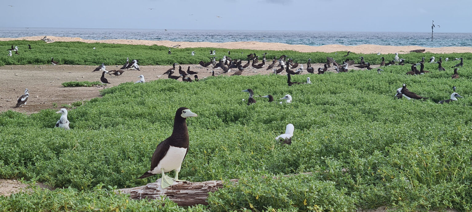 Environmental Management | TSRA