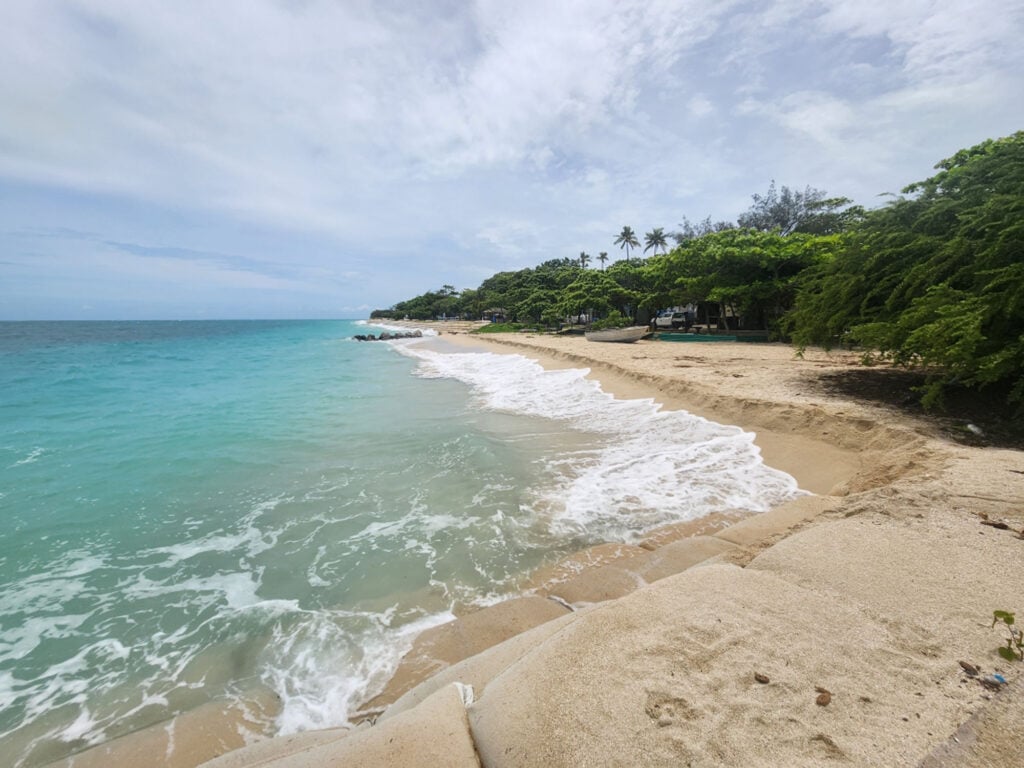 Torres Strait Regional Authority elections | TSRA