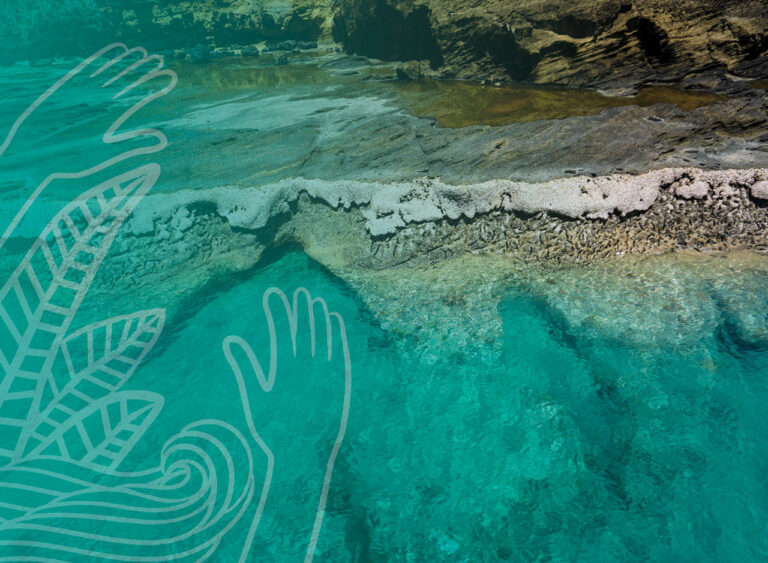 Environmental Management | TSRA