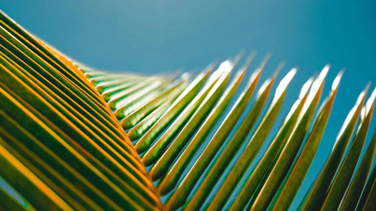 About The TSRA | TSRA