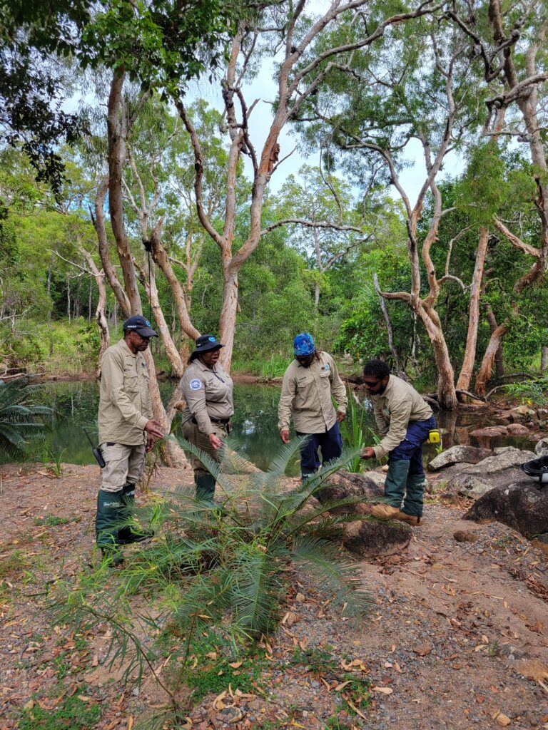 Classroom to Country: Torres Strait Rangers lead local land and sea ...