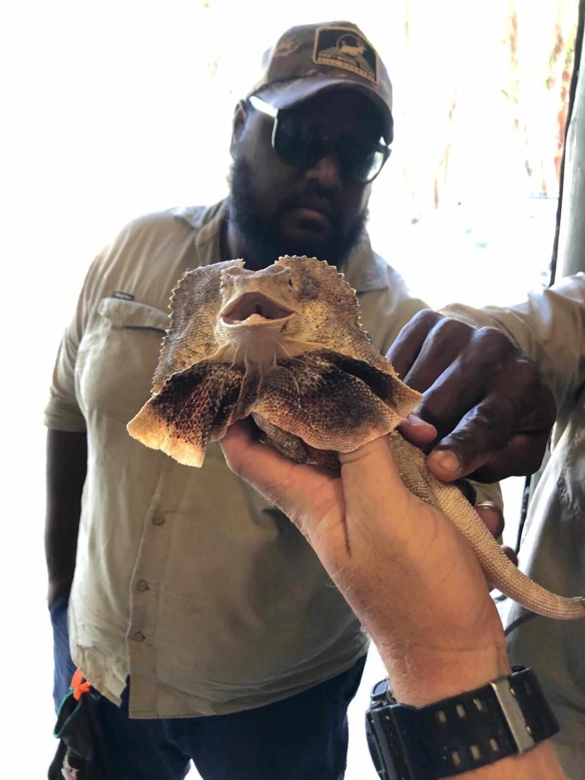 Classroom to Country: Torres Strait Rangers lead local land and sea ...
