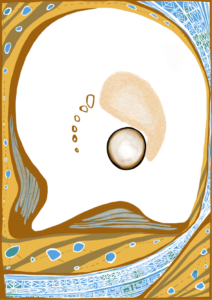 The Perfect Pearl: TSRA's 30th Anniversary artwork | TSRA