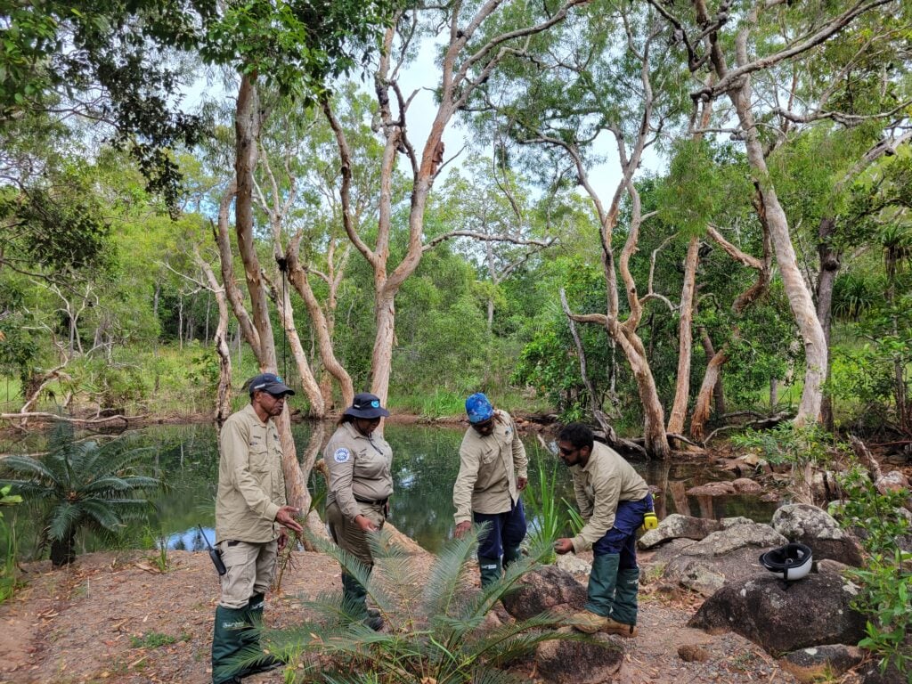 Torres Strait rangers receive national award for right-way science | TSRA